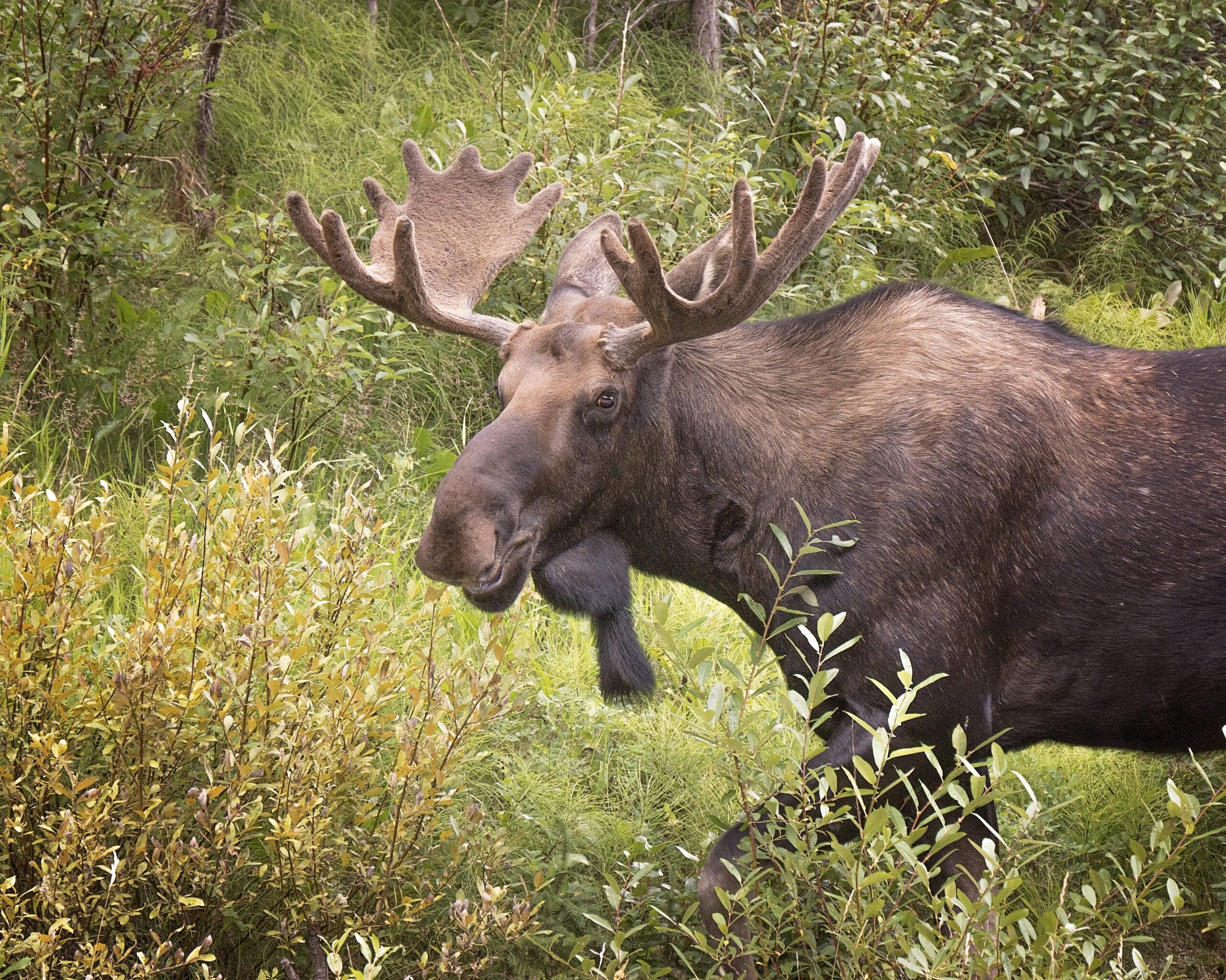 Hunting - fingerlakeresort.com